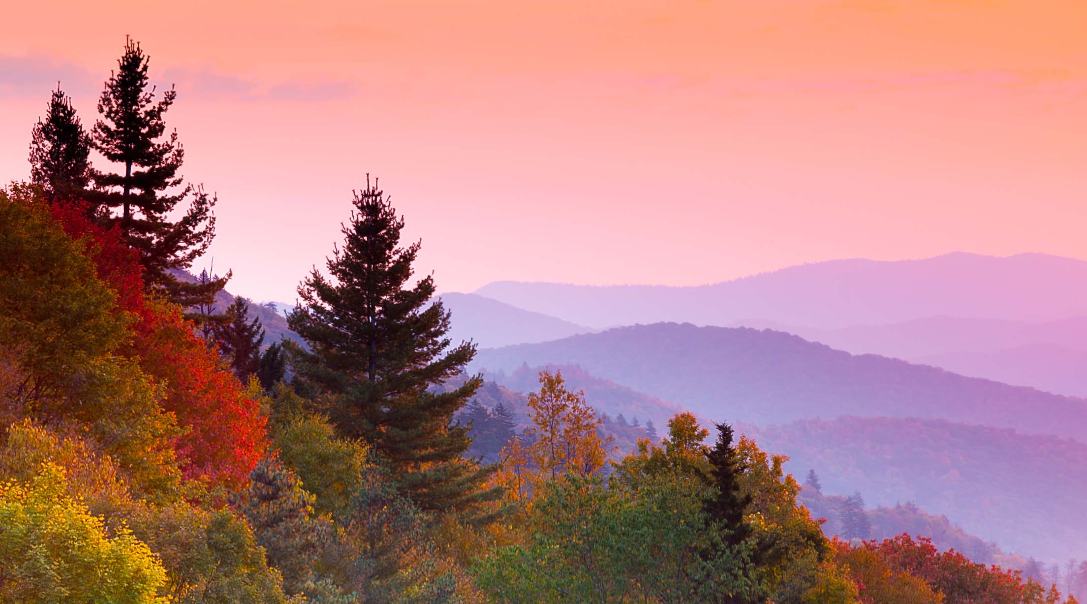 5 Fall Wellness Tips for Better Health | Blue Sky MD